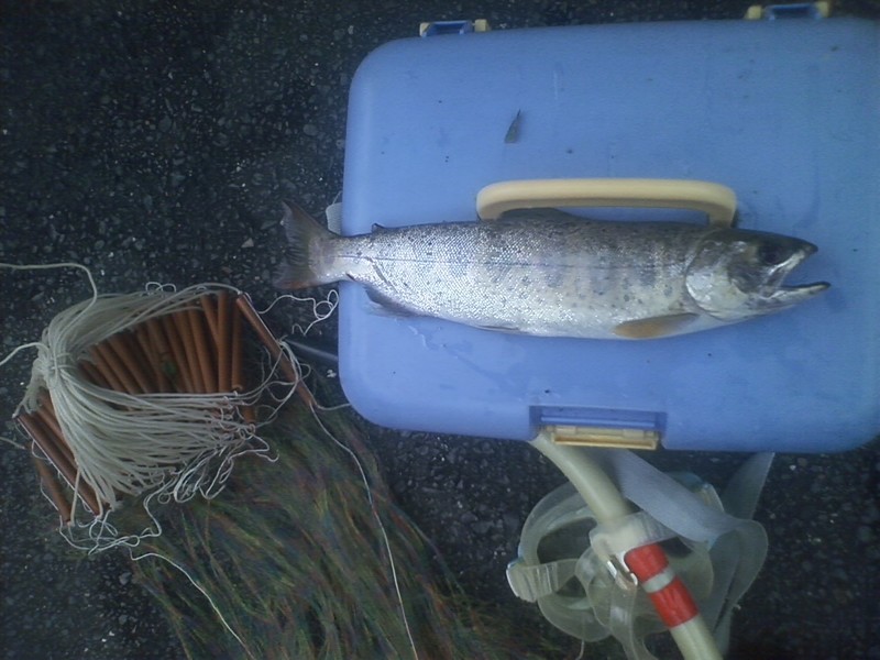 京都巨鮎艶友塾 アルバム