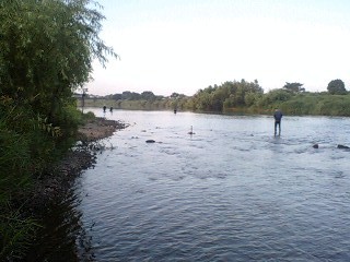 京都巨鮎艶友塾 フリーページ