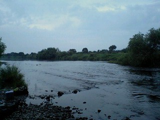 京都巨鮎艶友塾 アルバム