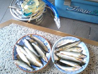 京都巨鮎艶友塾 アルバム