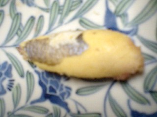 京都巨鮎艶友塾 アルバム