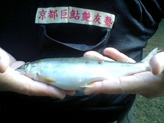 京都巨鮎艶友塾 アルバム