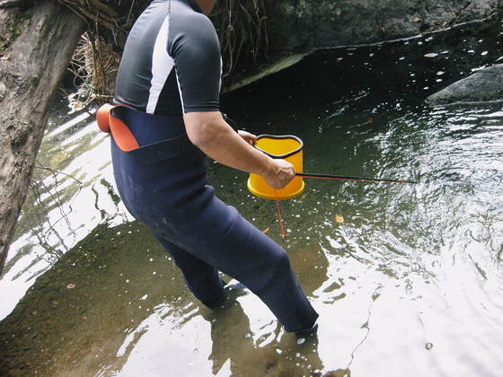 京都巨鮎艶友塾 ウナギ