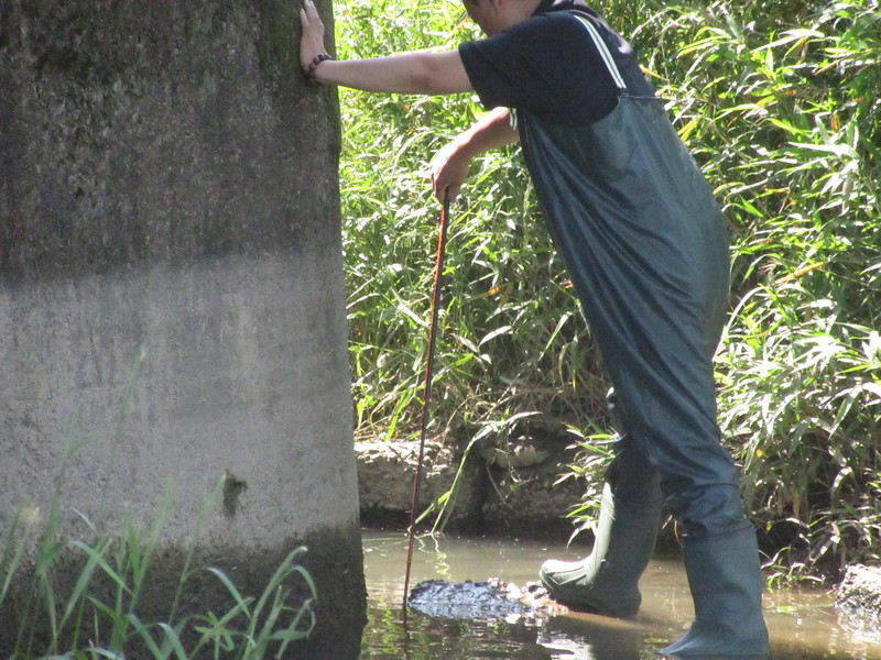 京都巨鮎艶友塾 ウナギ