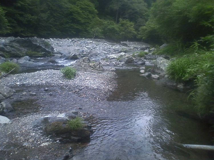 京都巨鮎艶友塾 ブログ