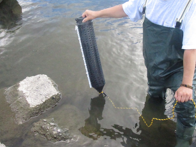京都巨鮎艶友塾 ウナギ