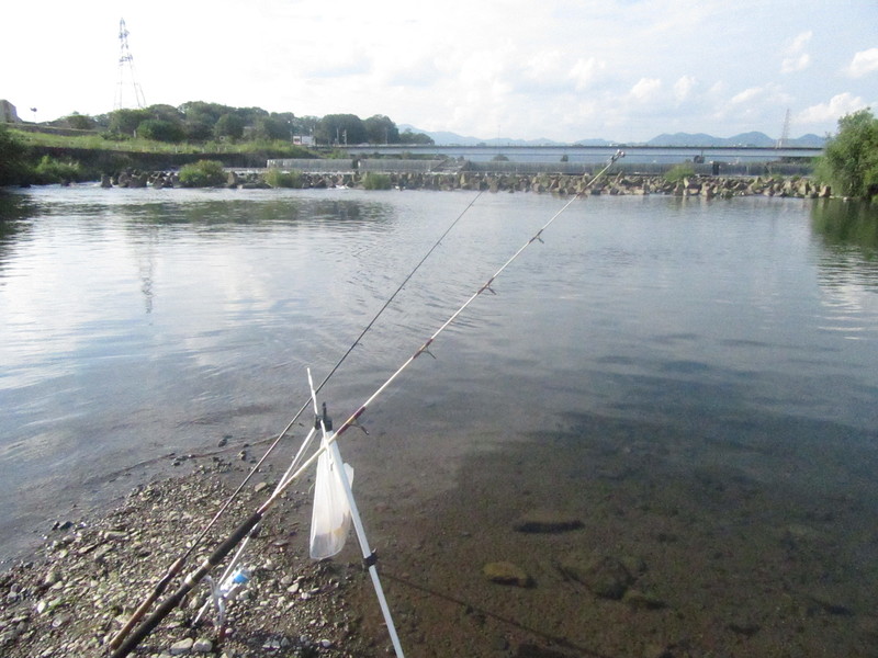 京都巨鮎艶友塾 鮎以外の魚