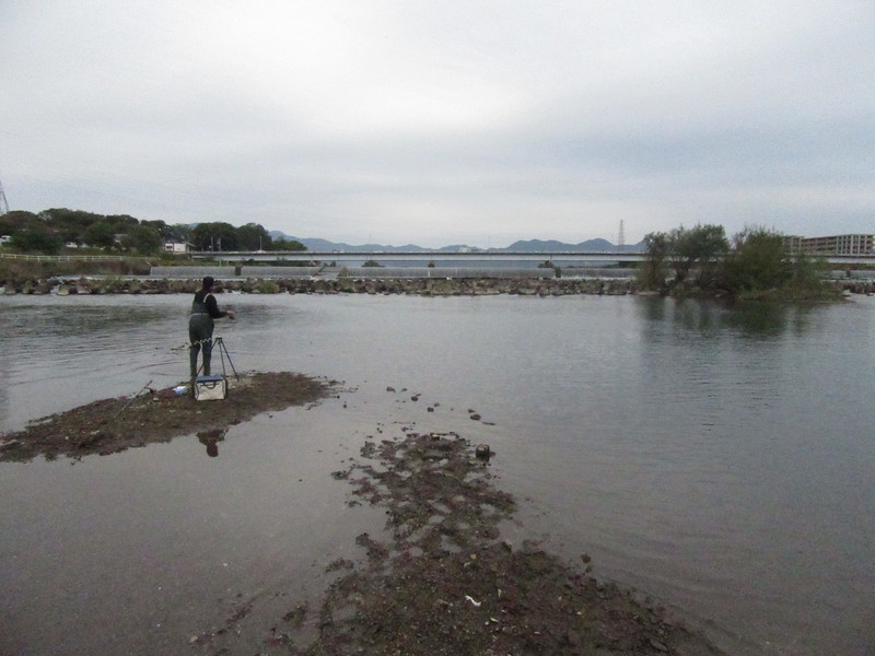 京都巨鮎艶友塾 鮎以外の魚