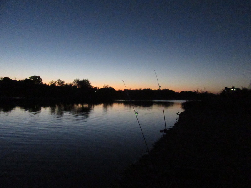 京都巨鮎艶友塾 鮎以外の魚