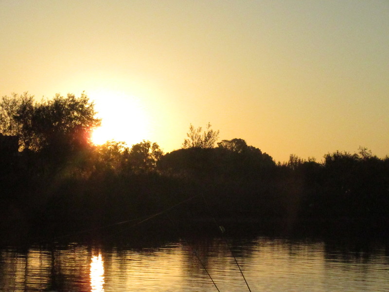 京都巨鮎艶友塾 鮎以外の魚