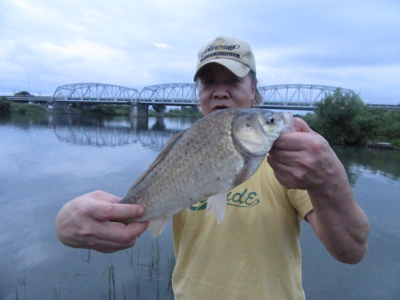 京都巨鮎艶友塾 鮎以外の魚