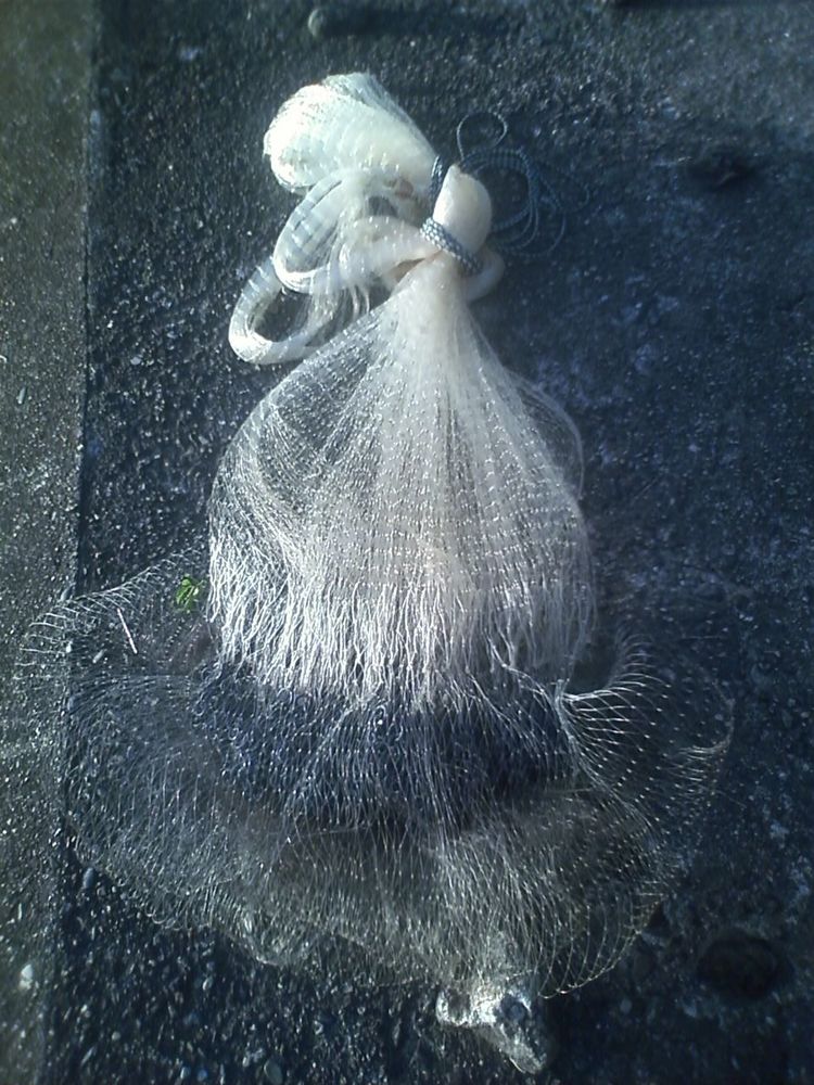 京都巨鮎艶友塾 ブログ