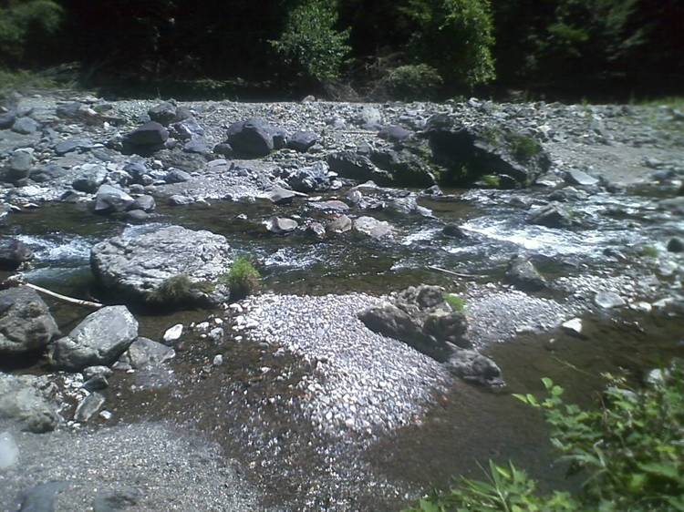 京都巨鮎艶友塾 ブログ