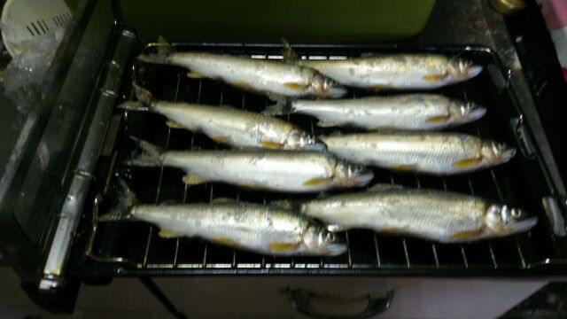 京都巨鮎艶友塾 ブログ