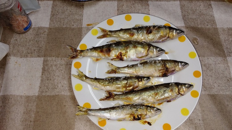 京都巨鮎艶友塾 ブログ