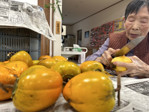 2025年11月 - ももブログ - 元気がとびだす ももたろう